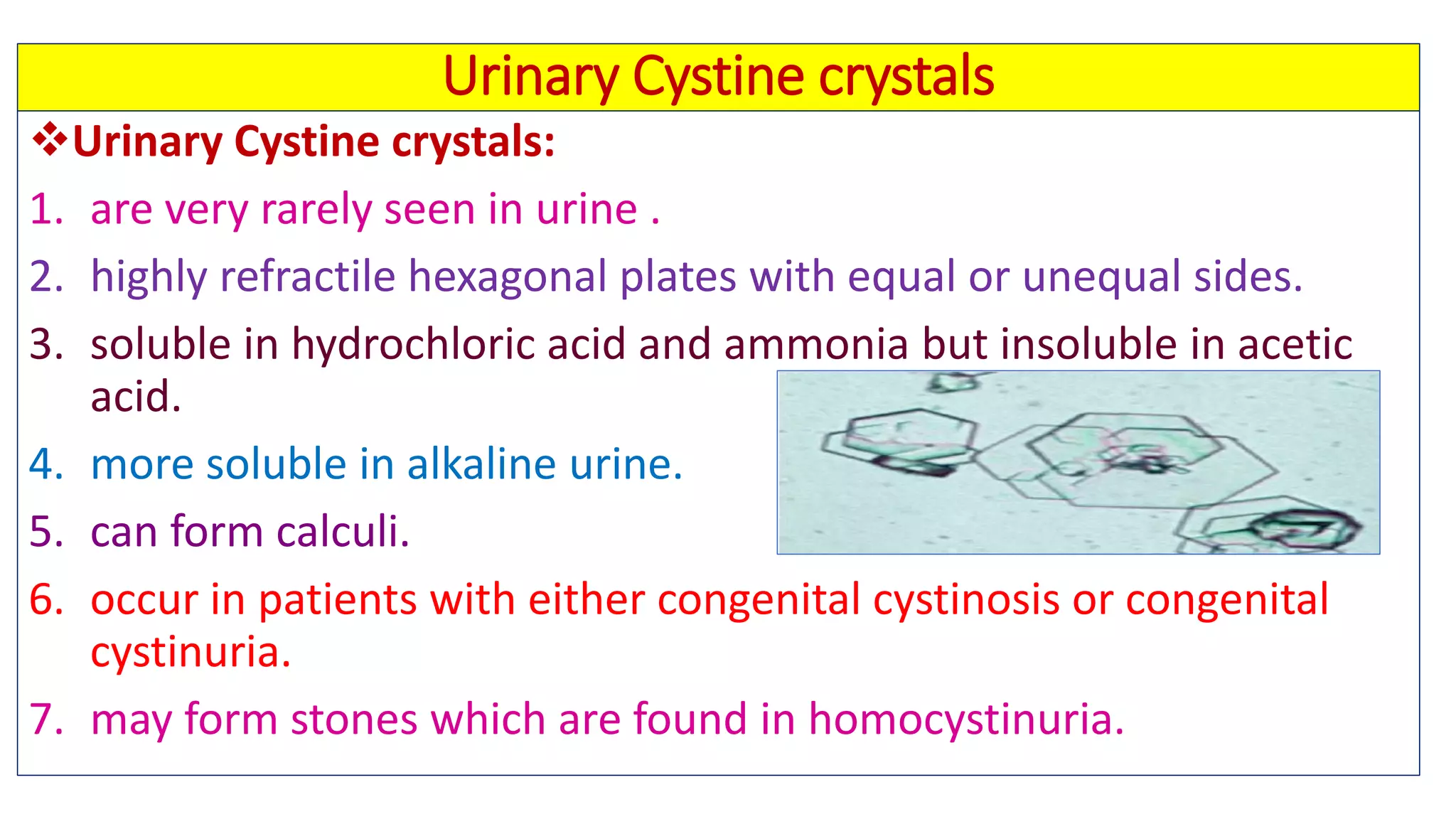 Microscopic examination of urine | PDF