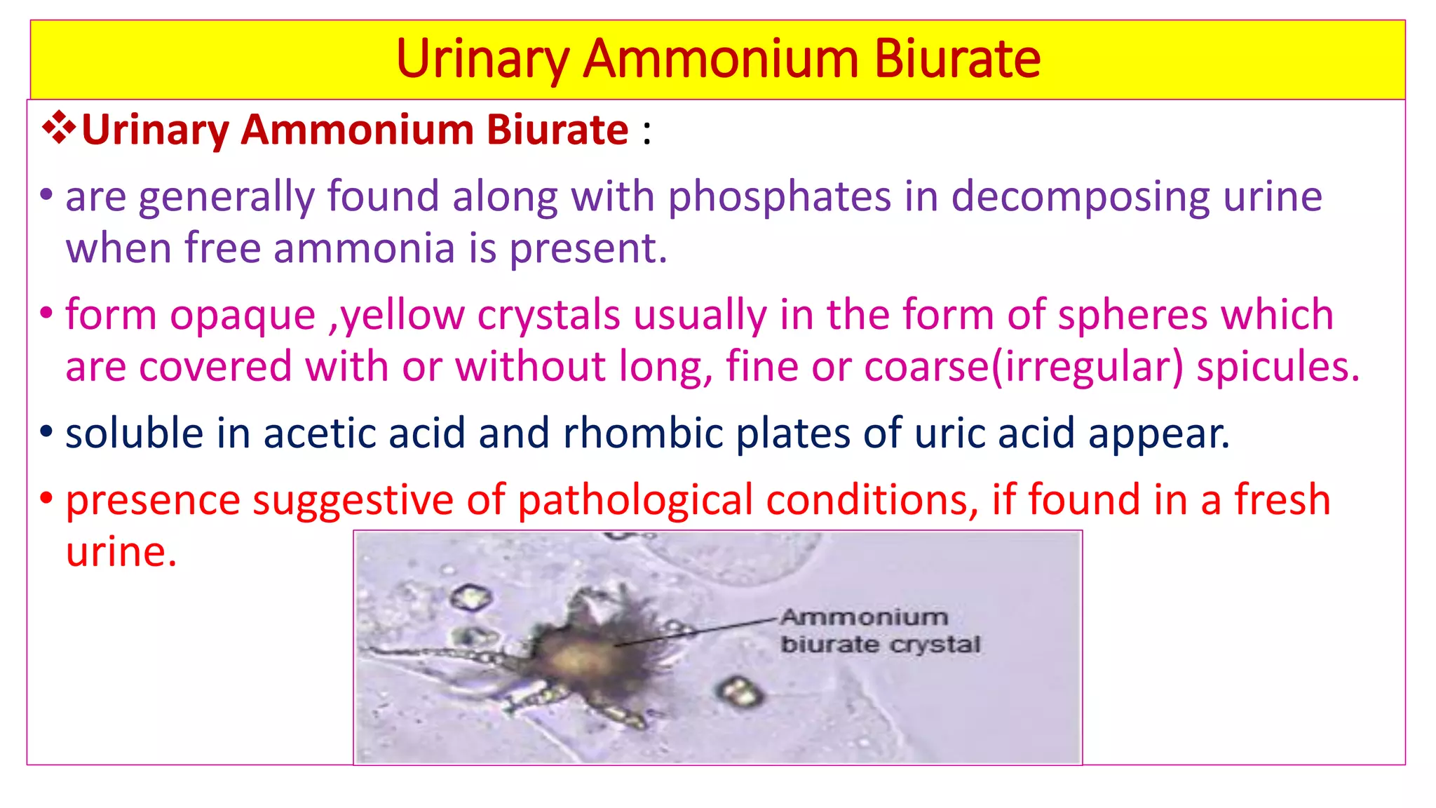 Microscopic examination of urine | PDF