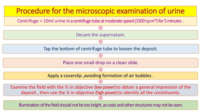 Microscopic examination of urine | PDF