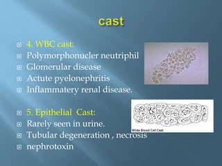Microscopic examination of urine | PPTX