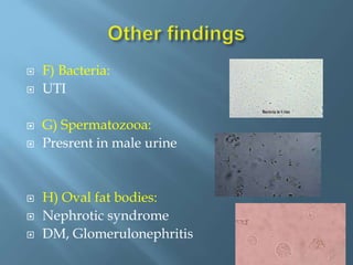 Microscopic examination of urine | PPTX