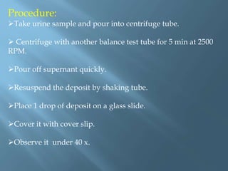 Microscopic examination of urine | PPTX