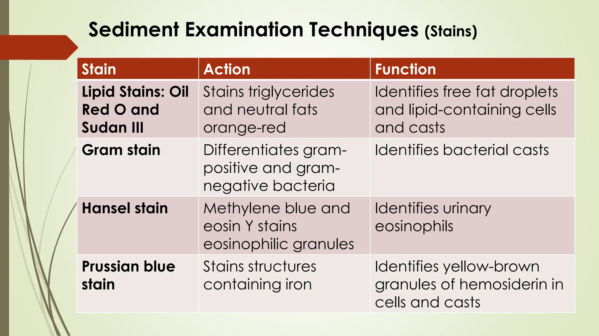 Microscopic_Examination_of_Urine_pdf.pdf
