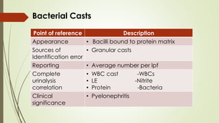 Microscopic_Examination_of_Urine_pdf.pdf