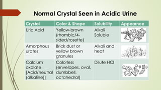Microscopic_Examination_of_Urine_pdf.pdf
