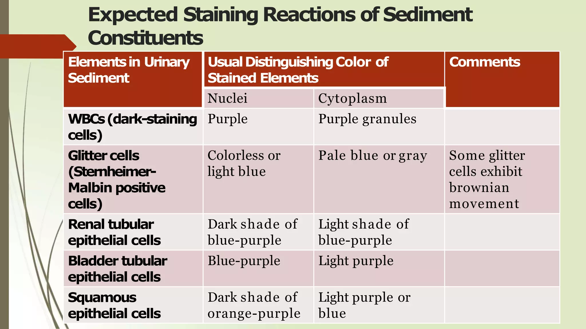 Microscopic_Examination_of_Urine_pdf (1).pptx