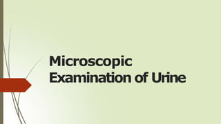 Microscopic_Examination_of_Urine_pdf (1).pptx
