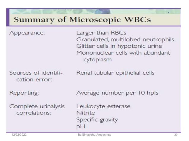 Microscopic examination of Urine sediments.ppt | Geology | Science