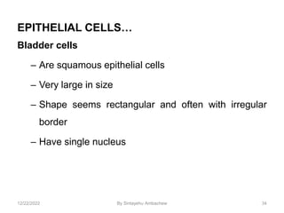 Microscopic examination of Urine sediments.ppt