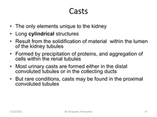 Microscopic examination of Urine sediments.ppt