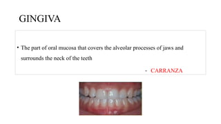 MICROSCOPIC FEATURES OF GINGIVAL EPITHELIUM.pptx