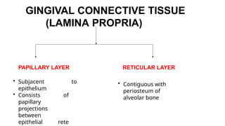 Anatomy of Microscopic features of gingiva.pptx