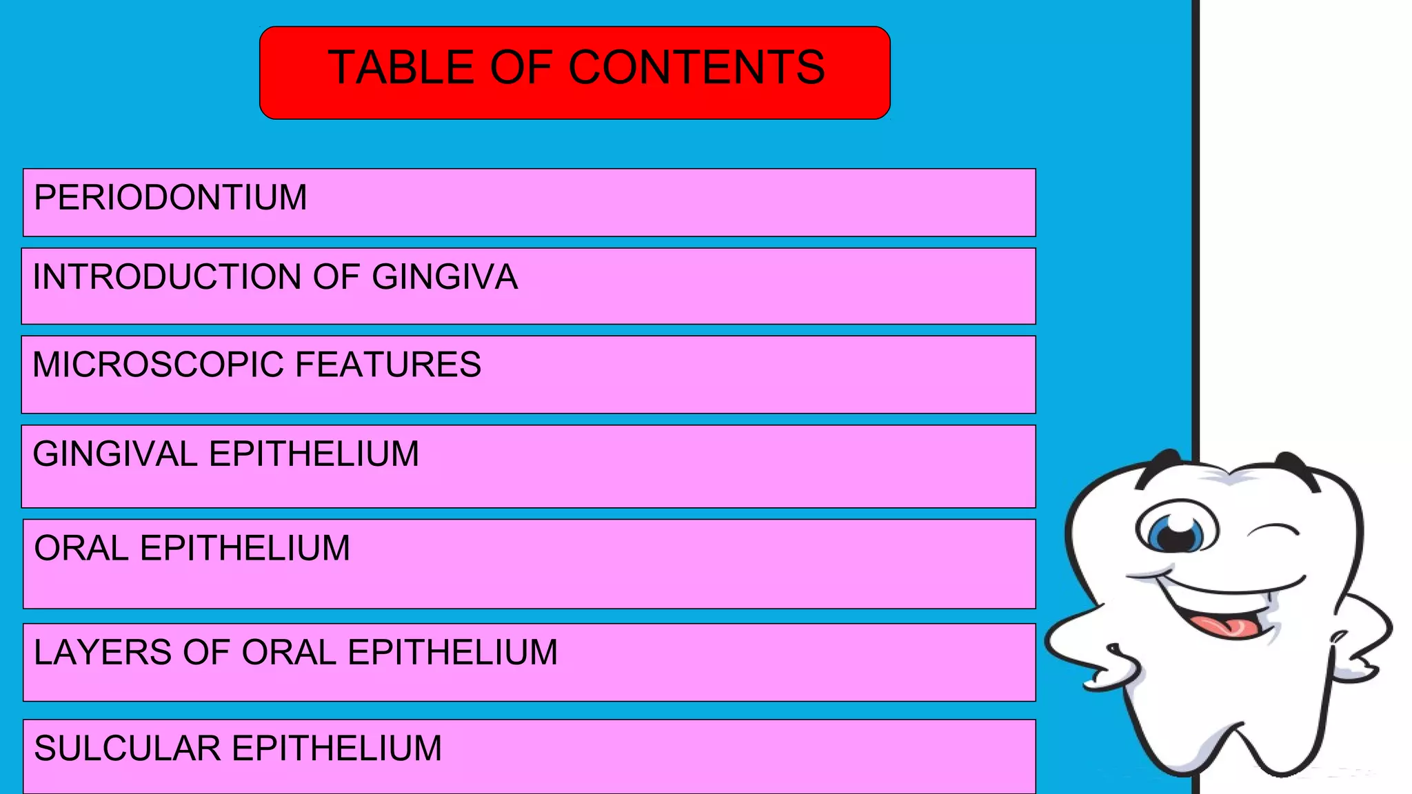 Microscopic features of Gingiva by DR SUHANI GOEL | PPT