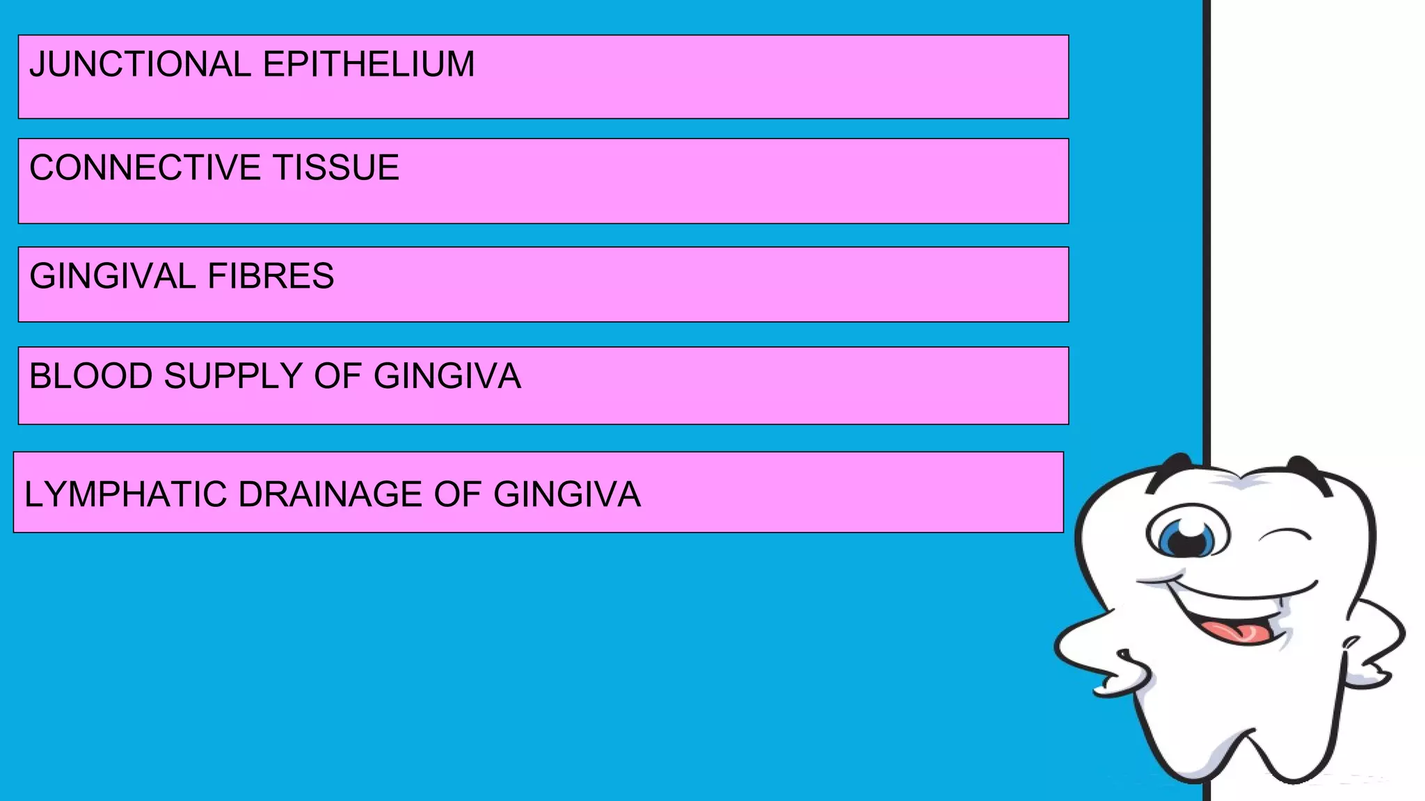 Microscopic features of Gingiva by DR SUHANI GOEL | PPT