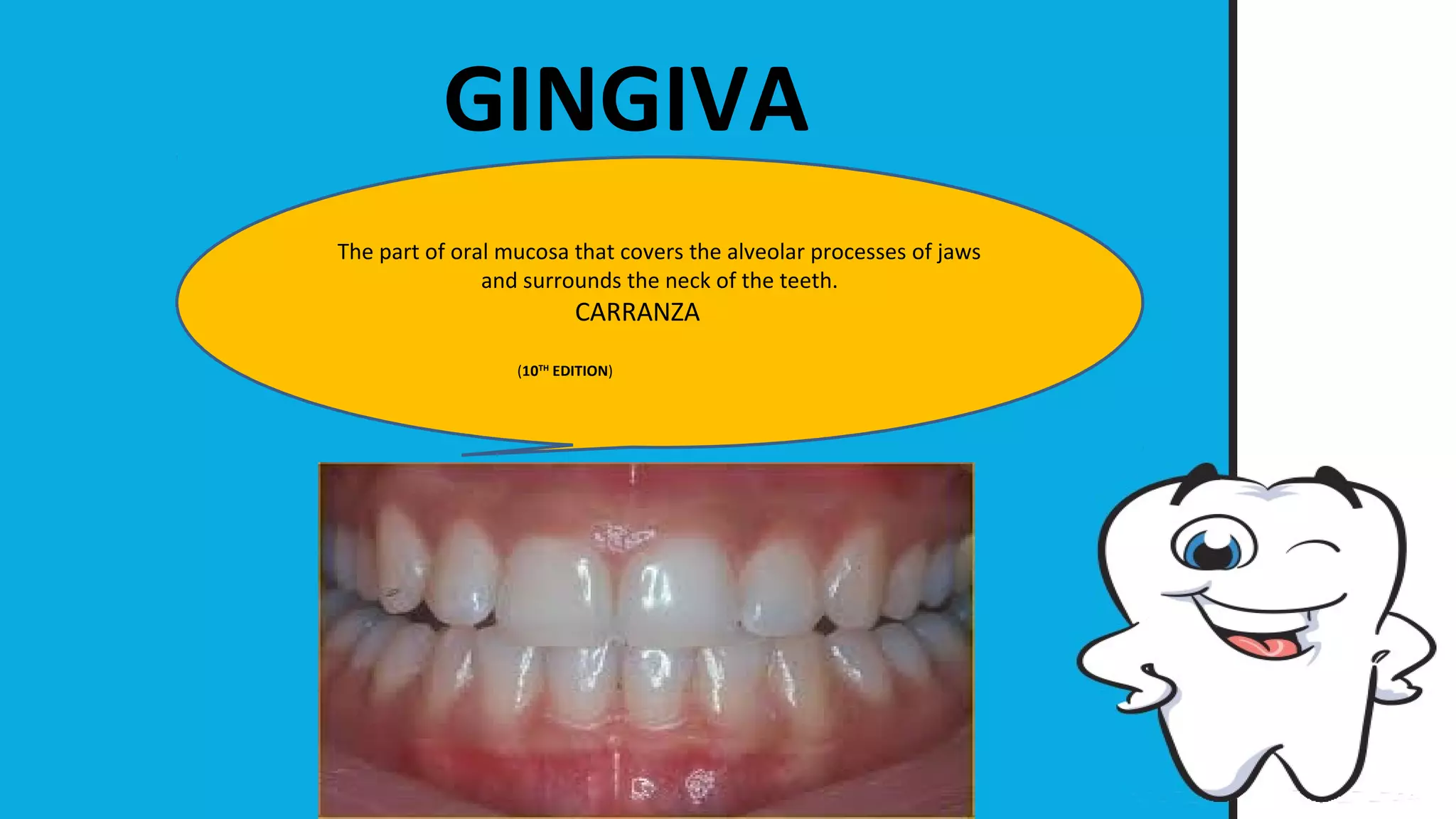 Microscopic features of Gingiva by DR SUHANI GOEL | PPT