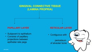 Microscopic features of Gingiva by DR SUHANI GOEL | PPT