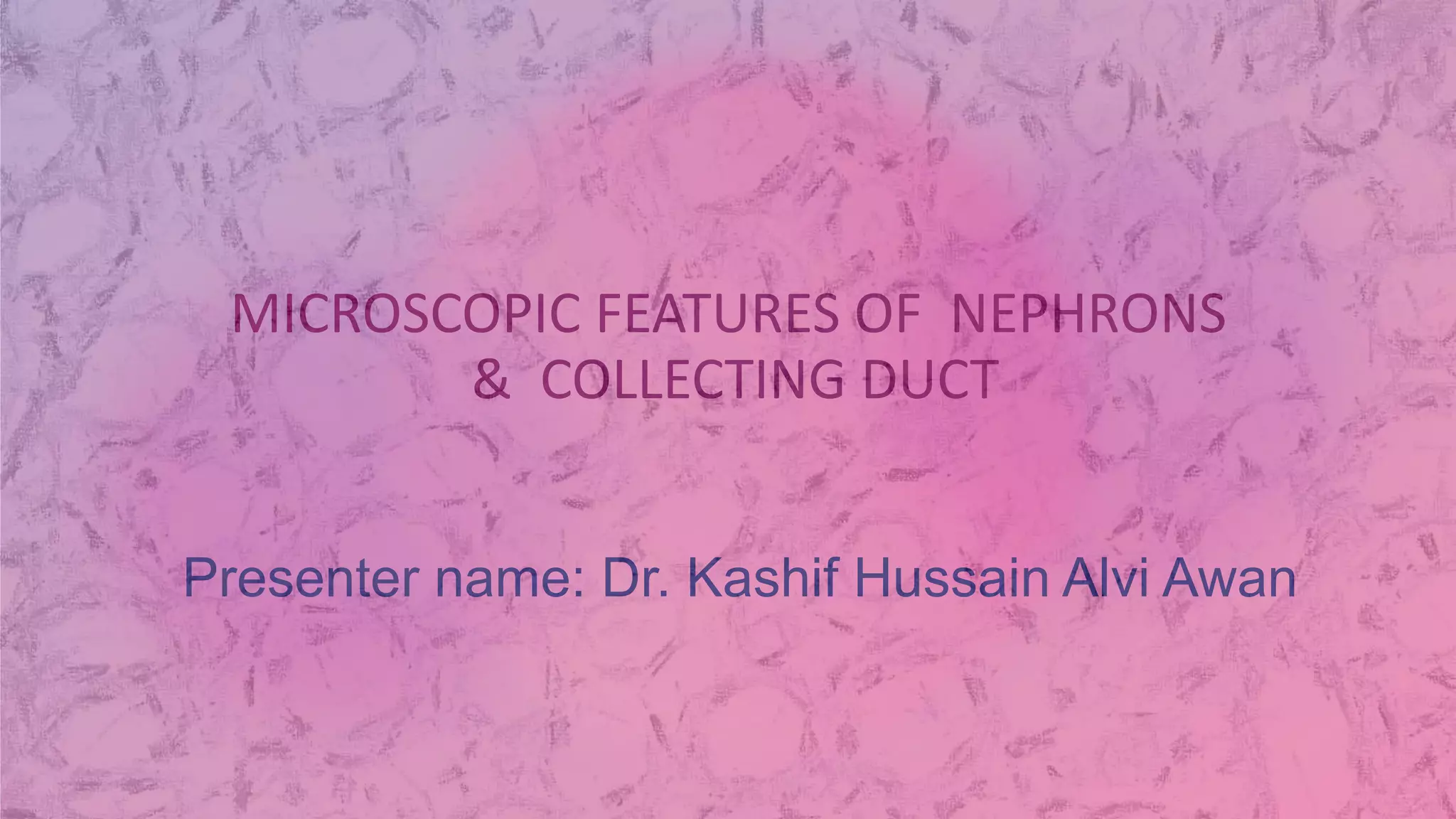 MICROSCOPIC FEATURES OF NEPHRONS-UPDATED.pptx