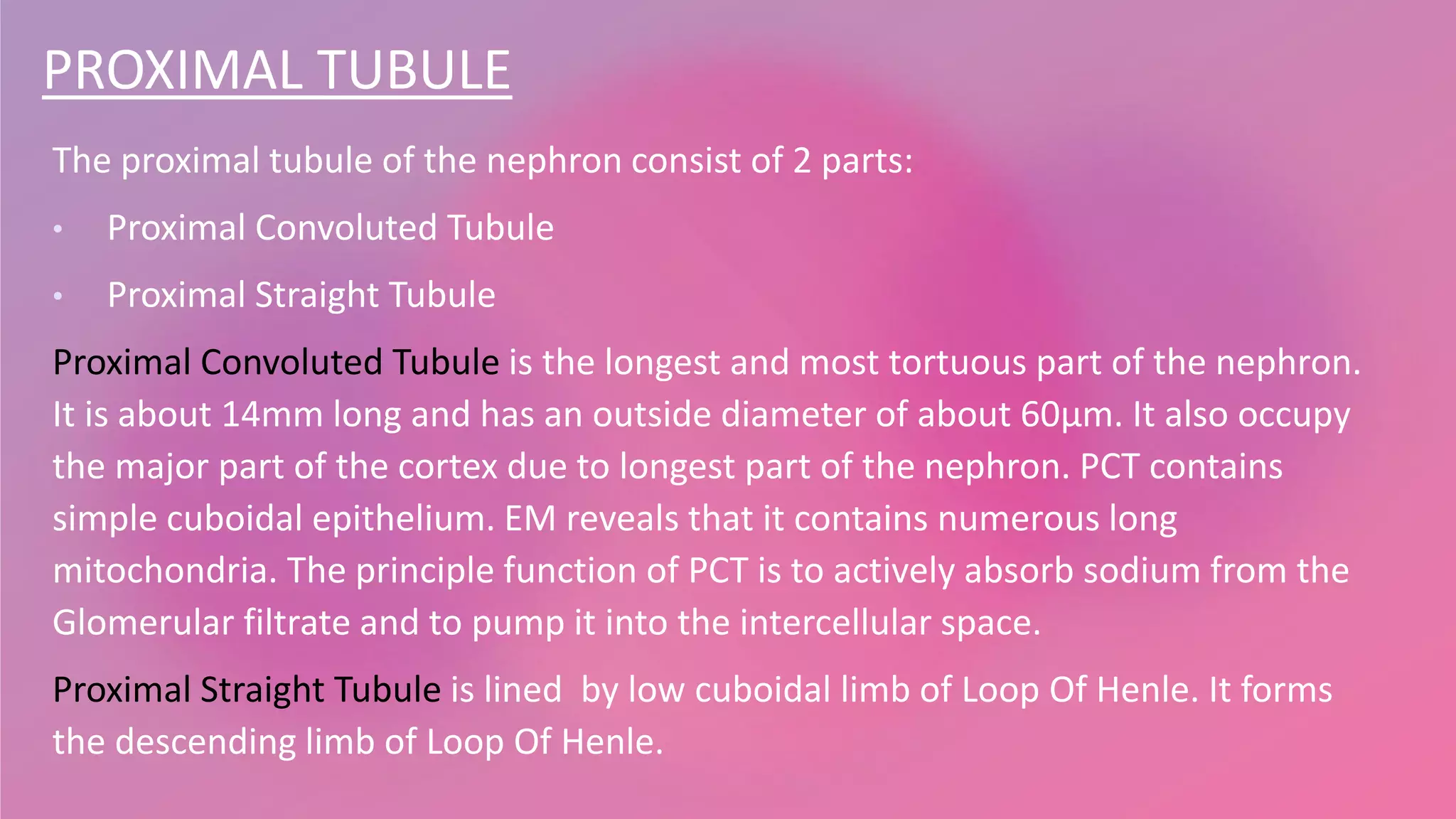 MICROSCOPIC FEATURES OF NEPHRONS-UPDATED.pptx | Biological Sciences ...
