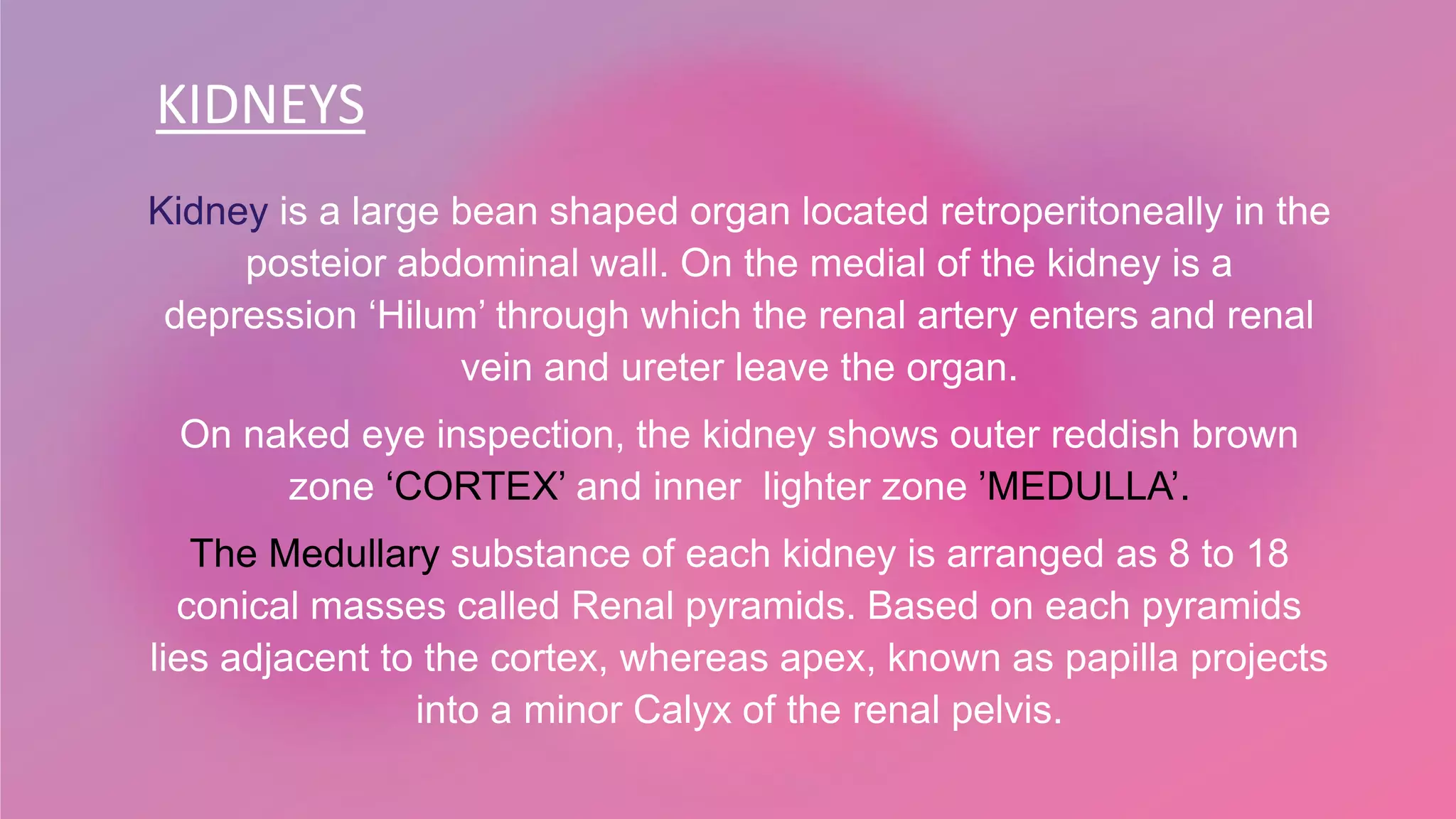 MICROSCOPIC FEATURES OF NEPHRONS-UPDATED.pptx