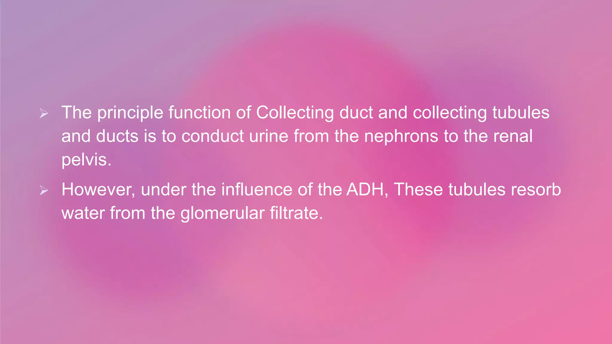 MICROSCOPIC FEATURES OF NEPHRONS-UPDATED.pptx