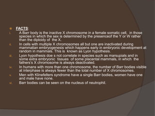 Microscopic Images of Various Cell Samples | PPTX | Blood Disorders ...