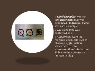 Microscopic Images of Various Cell Samples | PPTX | Blood Disorders ...