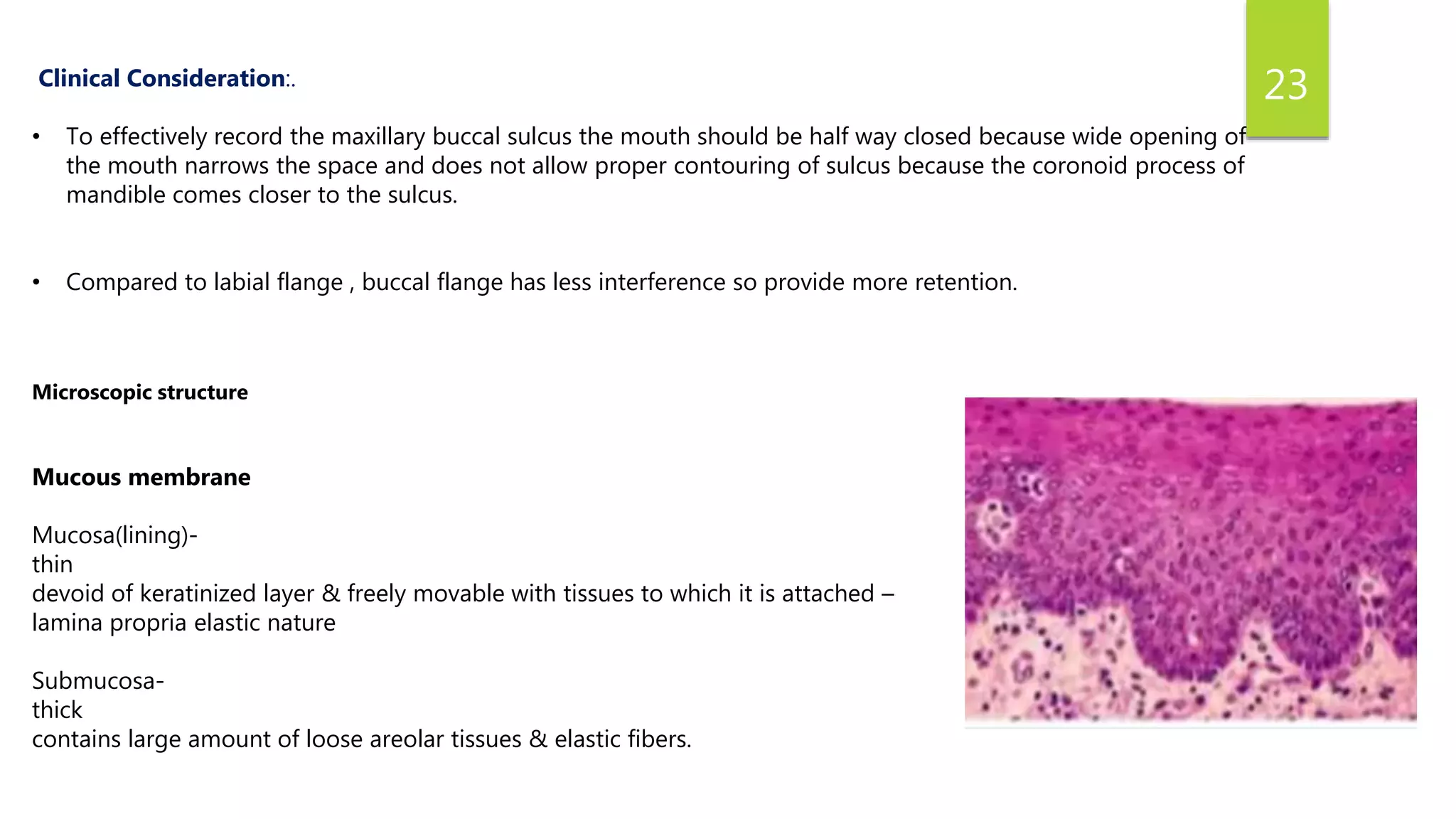 Anatomical landmarks of maxilla and mandible | PPTX