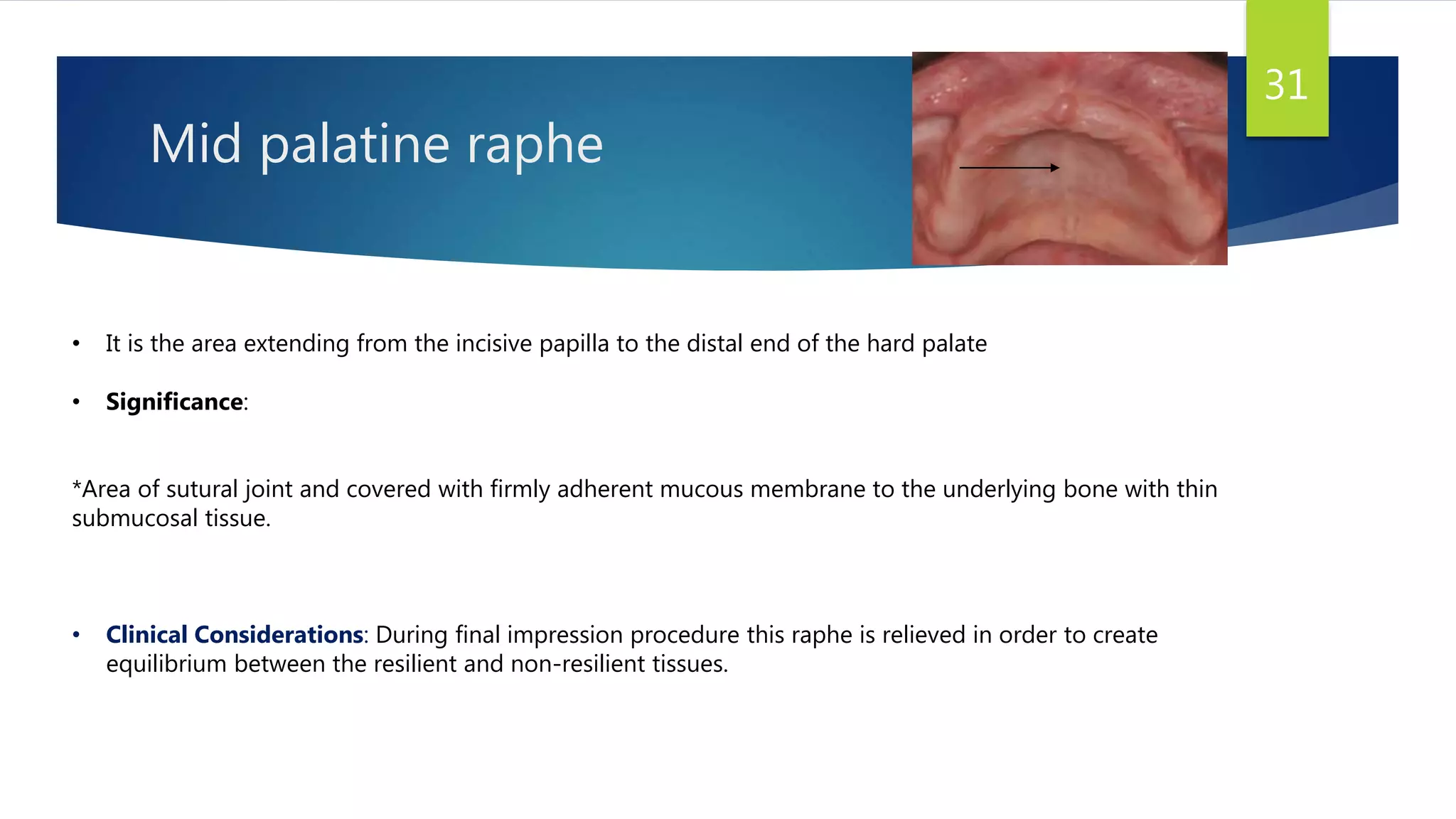 Anatomical landmarks of maxilla and mandible | PPTX