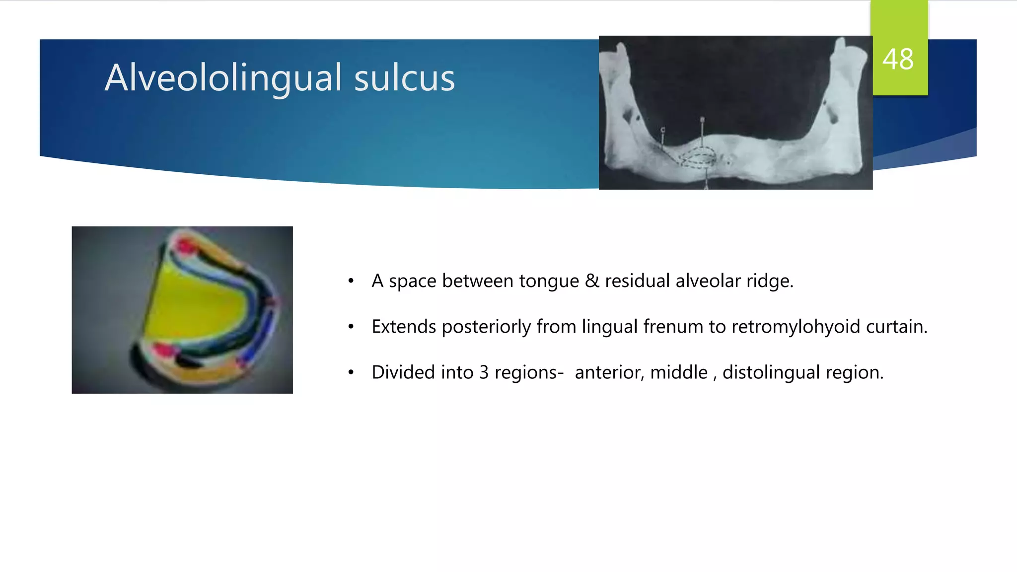 Anatomical landmarks of maxilla and mandible | PPTX