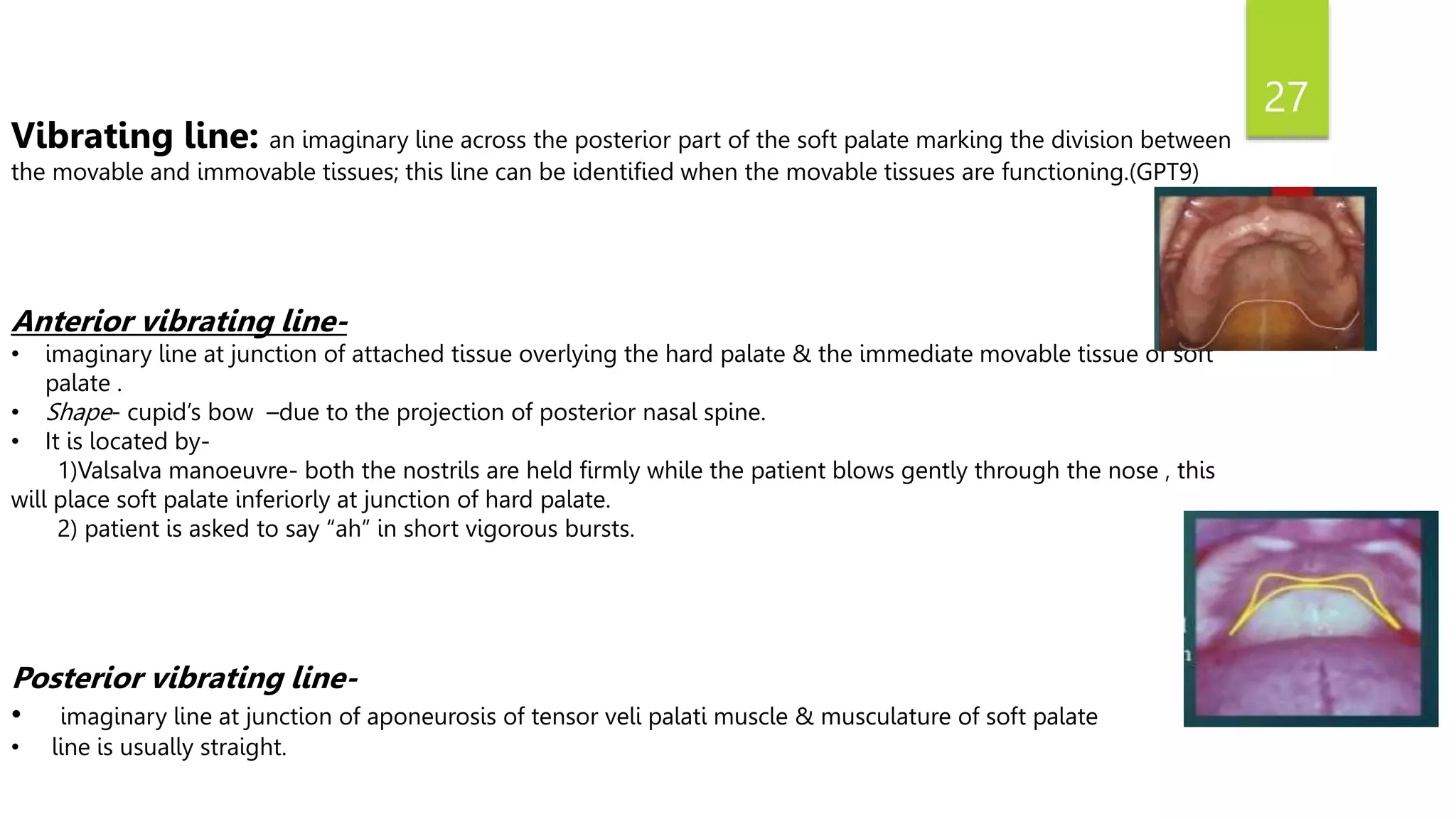 MICROSCOPIC & MACROSCOPIC ANATOMY OF MAXILLA AND MANDIBLE.pptx
