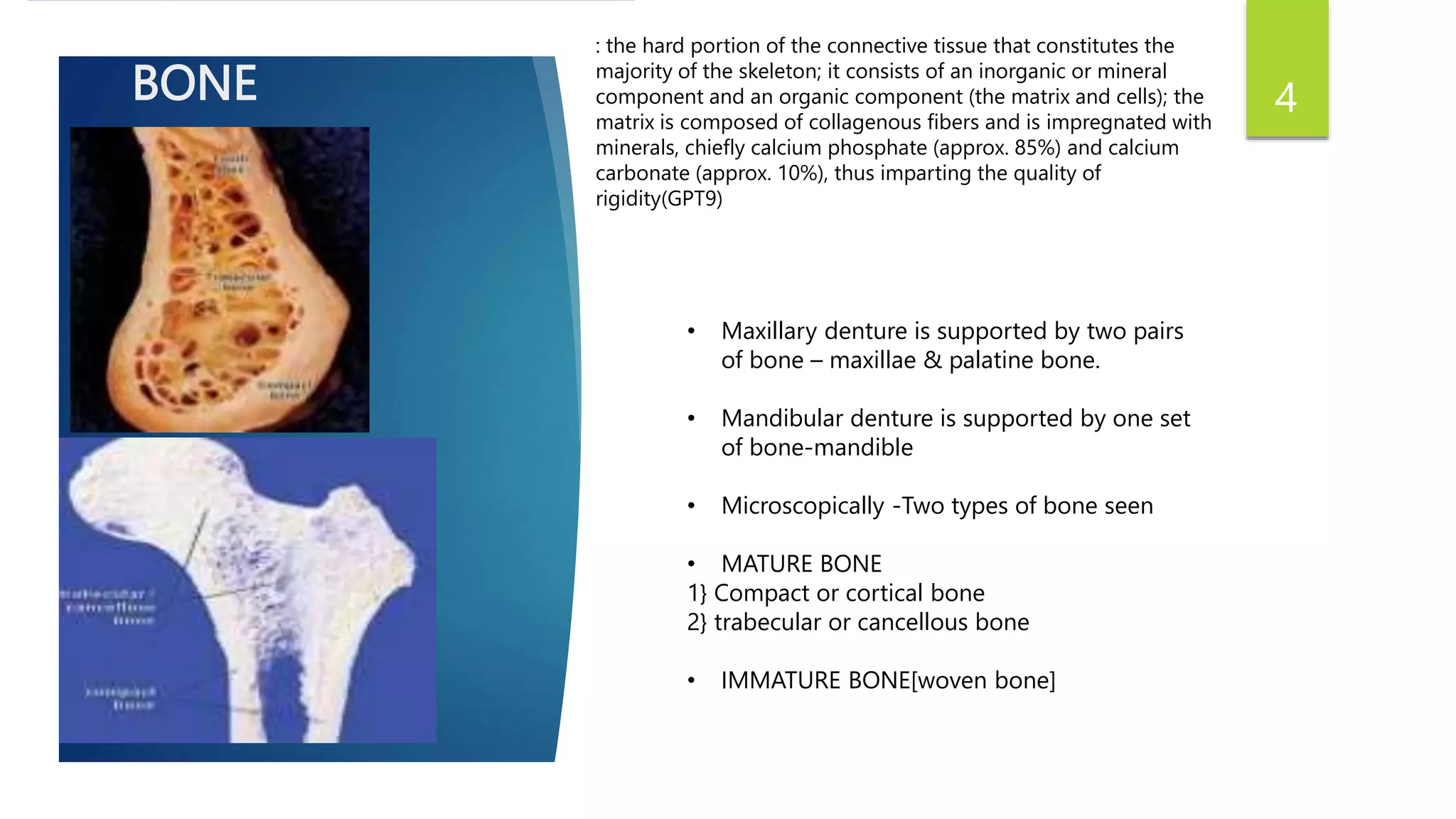 MICROSCOPIC & MACROSCOPIC ANATOMY OF MAXILLA AND MANDIBLE.pptx