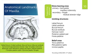 MICROSCOPIC & MACROSCOPIC ANATOMY OF MAXILLA AND MANDIBLE.pptx