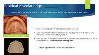 MICROSCOPIC & MACROSCOPIC ANATOMY OF MAXILLA AND MANDIBLE.pptx