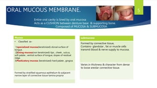 MICROSCOPIC & MACROSCOPIC ANATOMY OF MAXILLA AND MANDIBLE.pptx