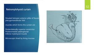 MICROSCOPIC & MACROSCOPIC ANATOMY OF MAXILLA AND MANDIBLE.pptx