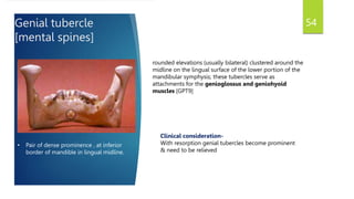 MICROSCOPIC & MACROSCOPIC ANATOMY OF MAXILLA AND MANDIBLE.pptx