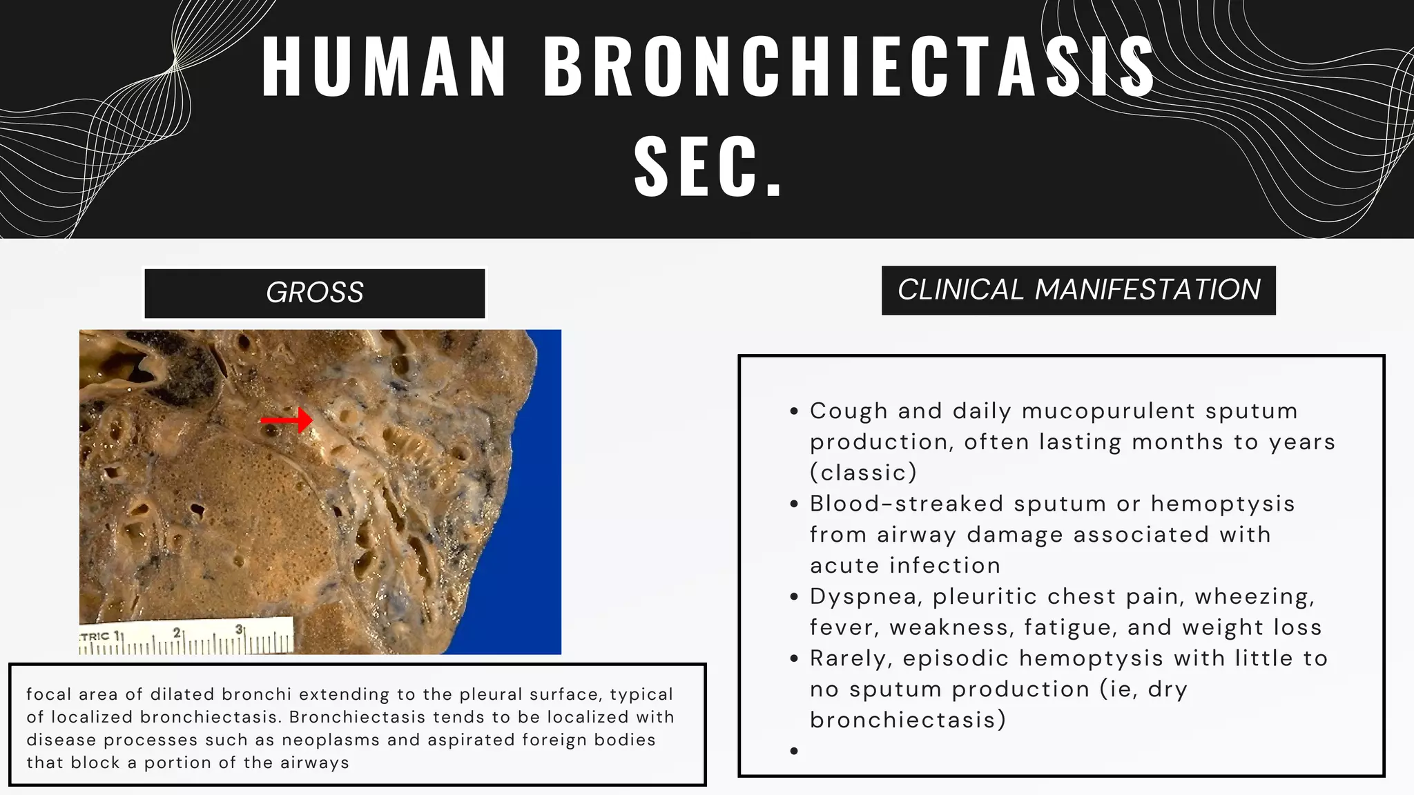 MICROScopIC SLIDES.pdf