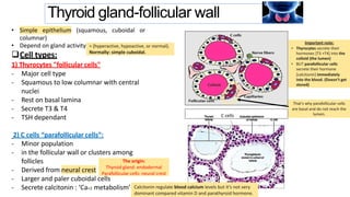 Microscopic Structure of Endocrine Organs II تفريغ 221.pdf