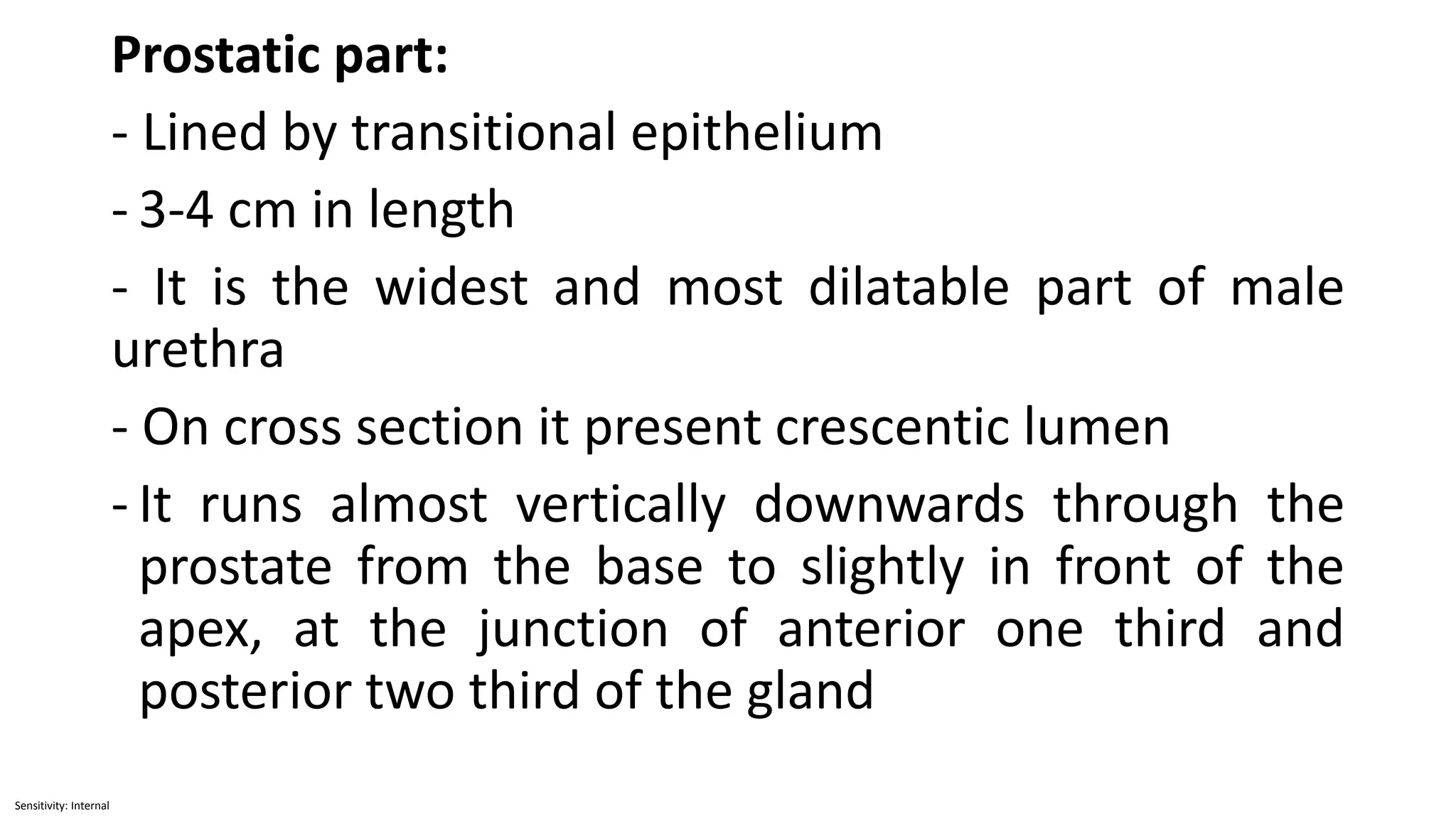 MICROSCOPIC STRUCTURE OF URETER, URINARY BLADDER ,URETHRA.pptx