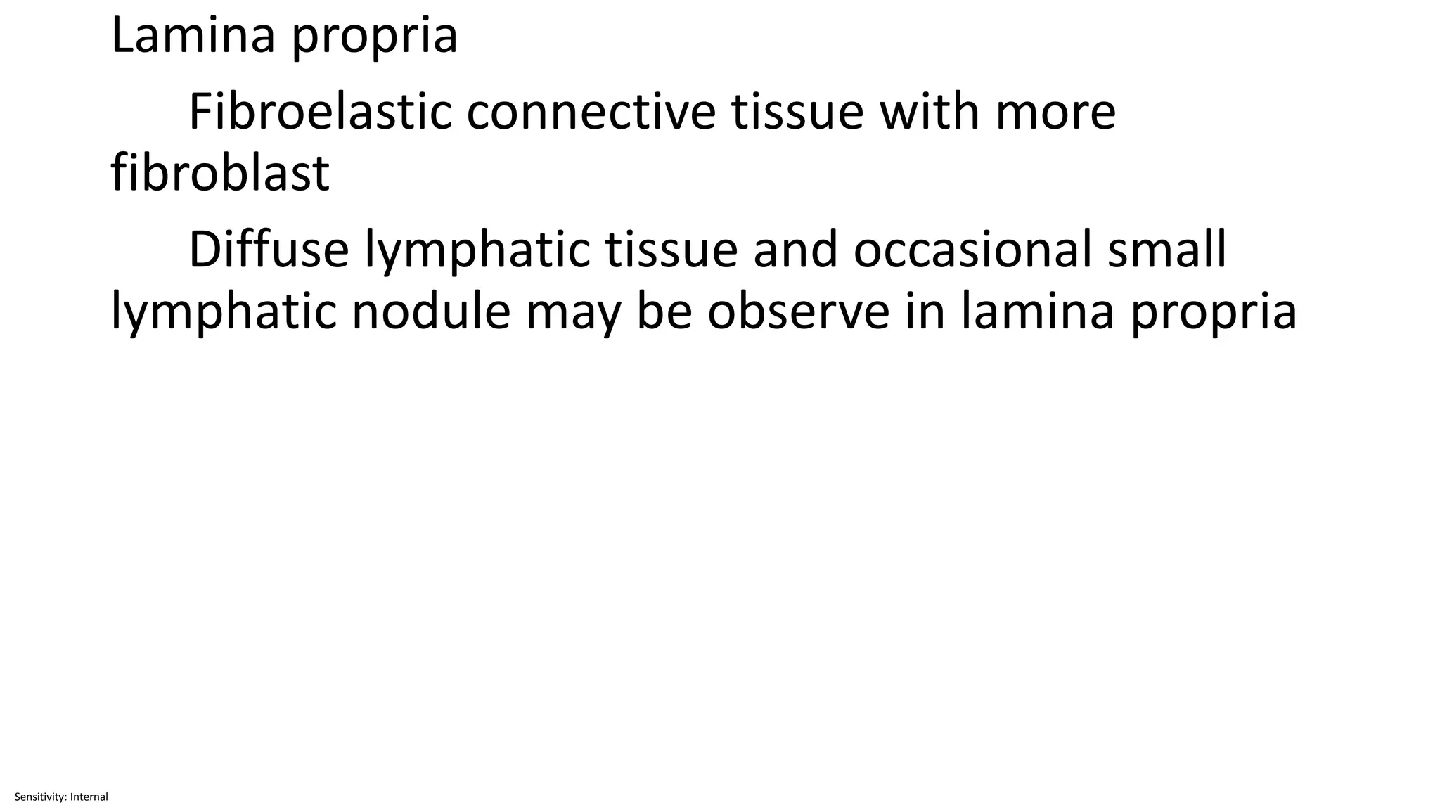 MICROSCOPIC STRUCTURE OF URETER, URINARY BLADDER ,URETHRA.pptx