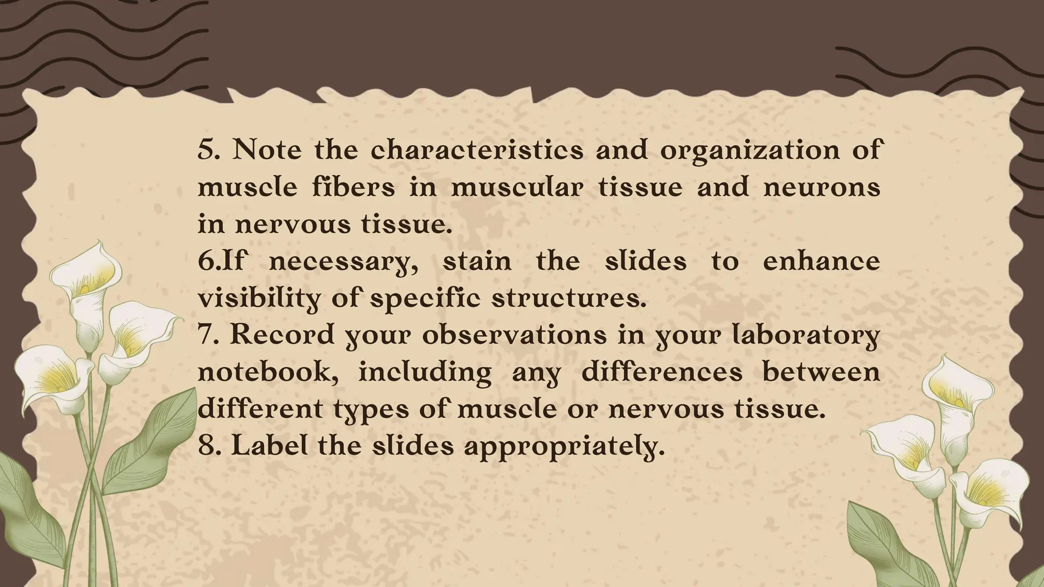 Microscopic study of muscular and nervous tissue(BP107P).pptx