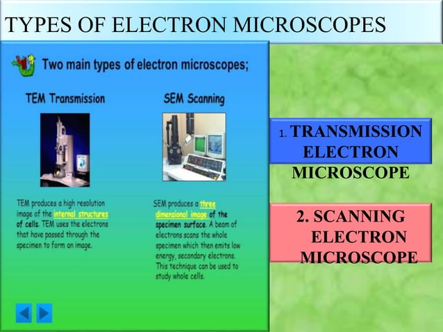 Microscopic techniques | PPTX | Photography | Arts and Crafts