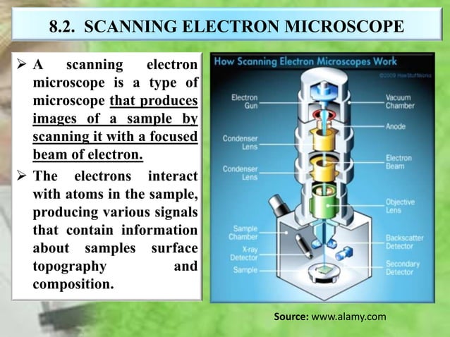 Microscopic techniques | PPTX | Photography | Arts and Crafts