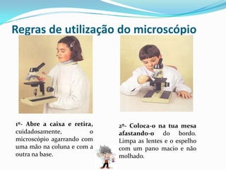 Microscopio | PPTX