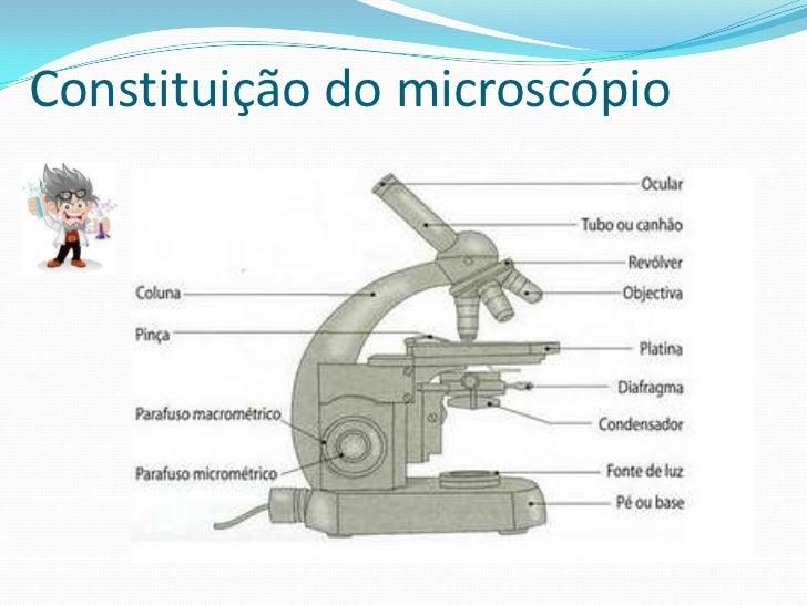 Microscopio
