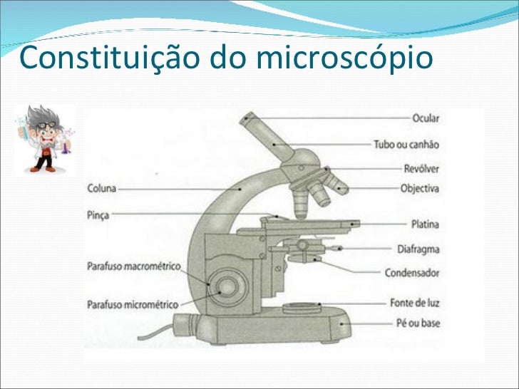 Microscopio