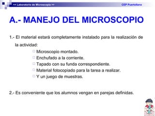 Microscopio | PPS
