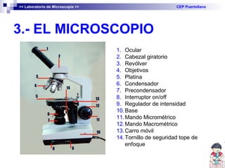Microscopio | PPS