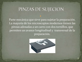 Microscopio | PPTX