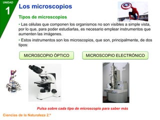 microscopio.pdf